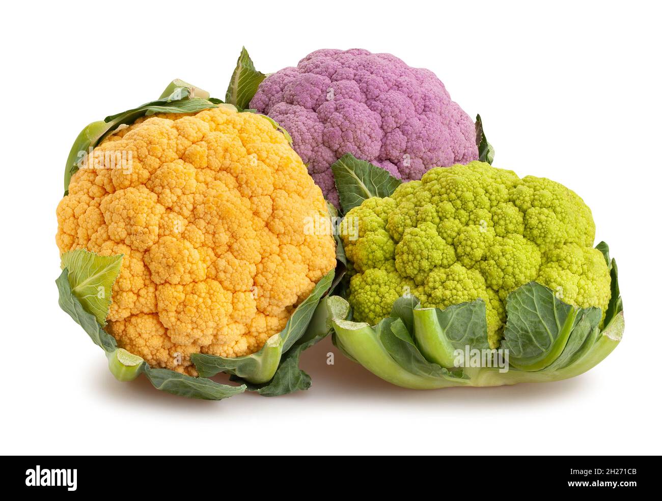 colorful cauliflower path isolated on white Stock Photo - Alamy