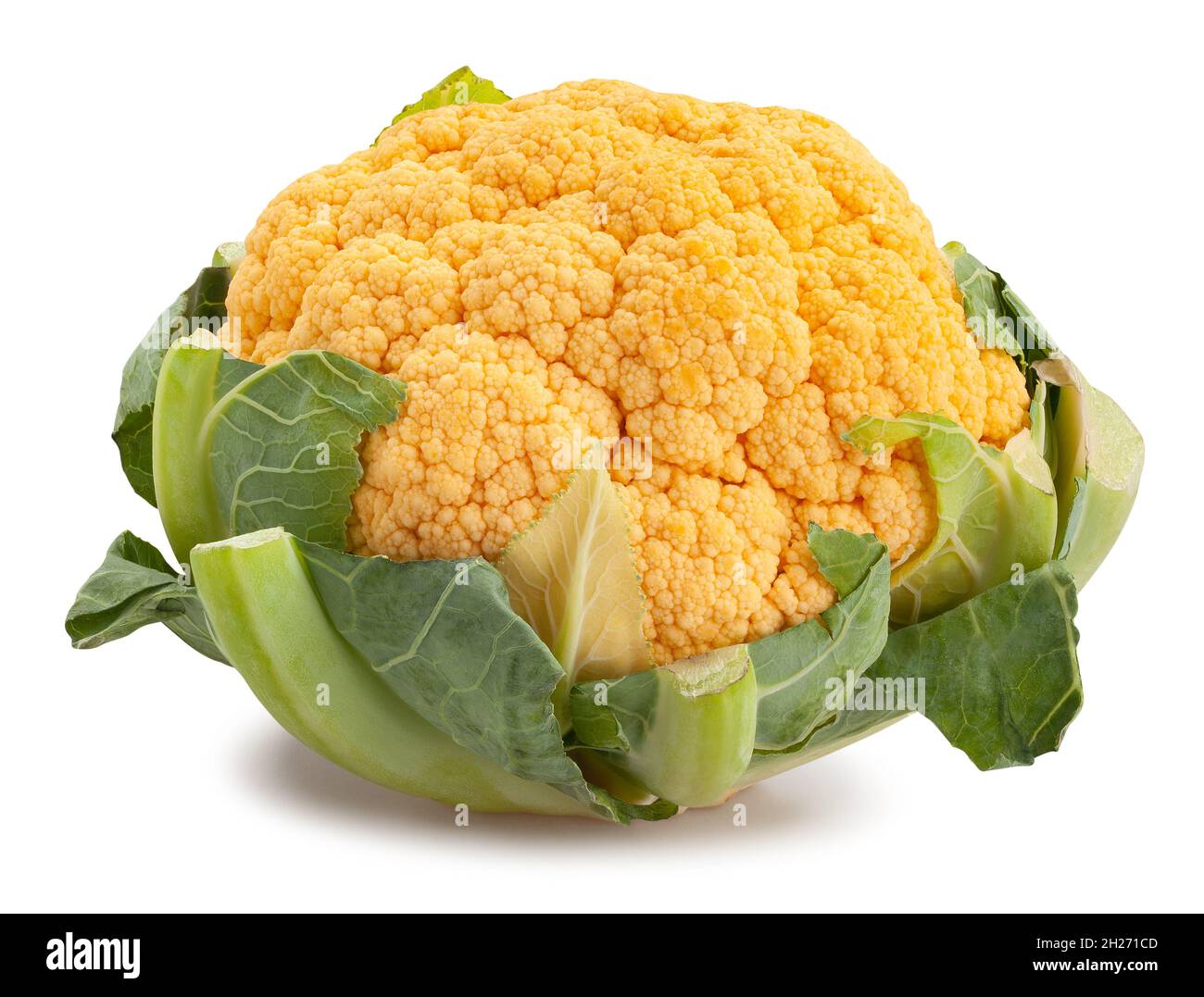colorful cauliflower path isolated on white Stock Photo - Alamy