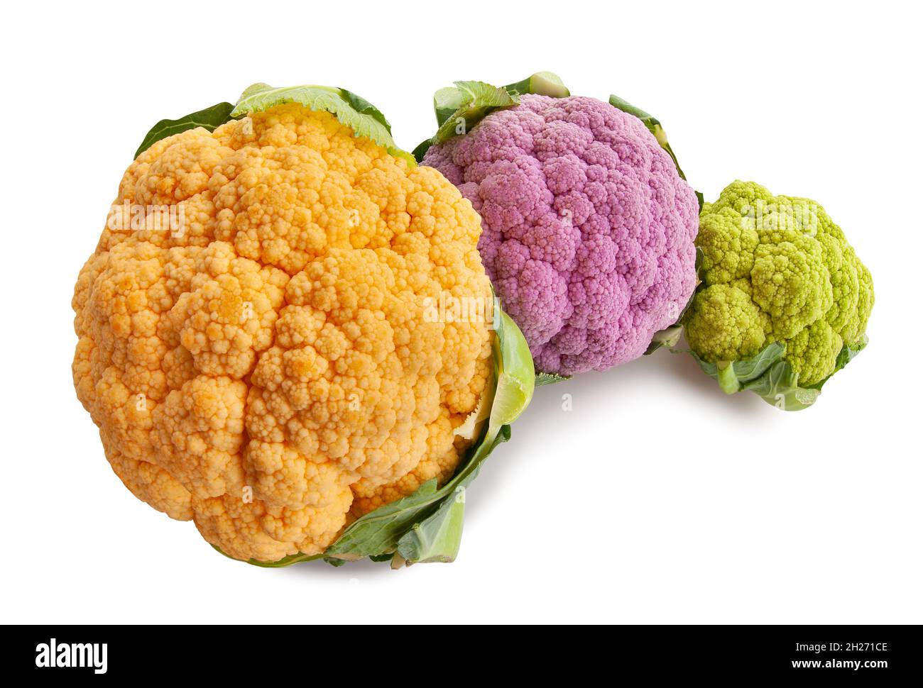 colorful cauliflower path isolated on white Stock Photo - Alamy