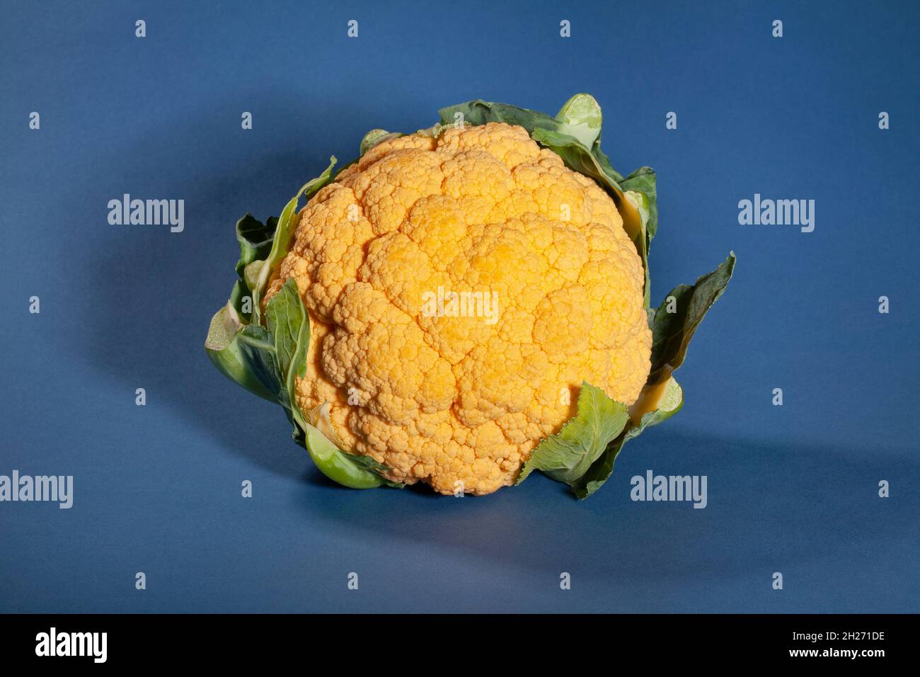 colorful cauliflower on blue background Stock Photo - Alamy
