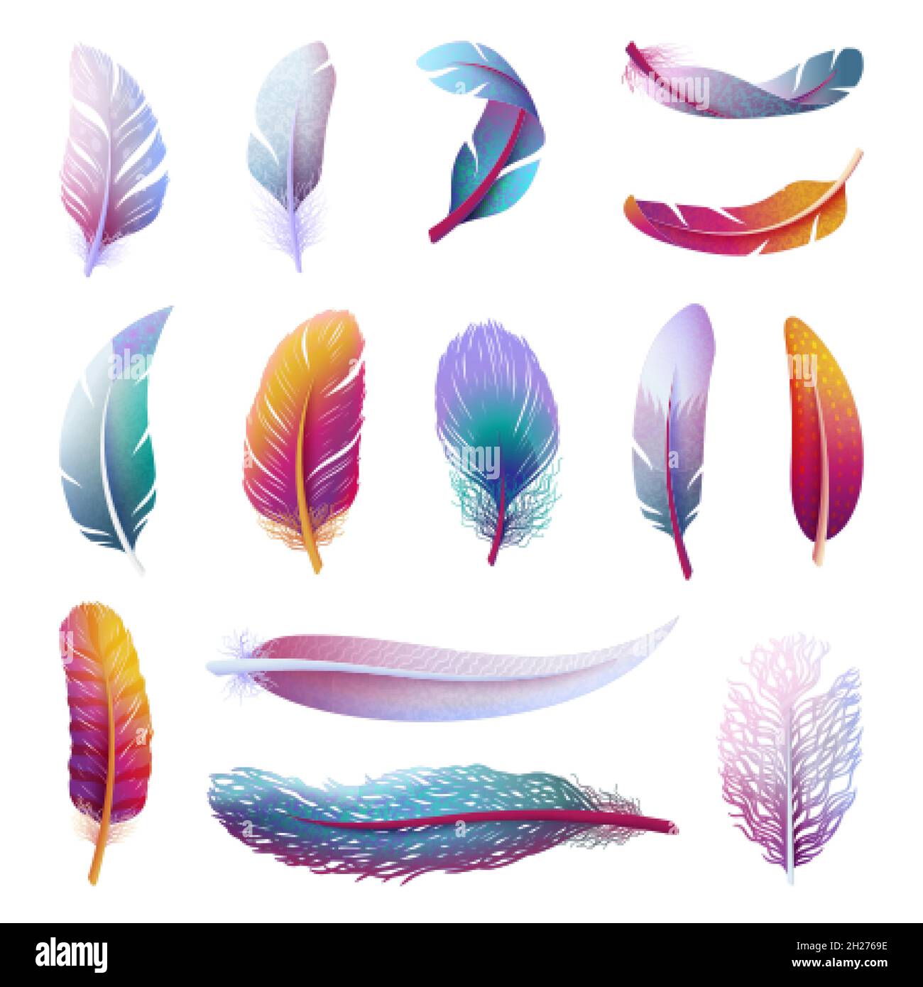 Colorful bird feather. Realistic feathers, isolated boho color elements ...