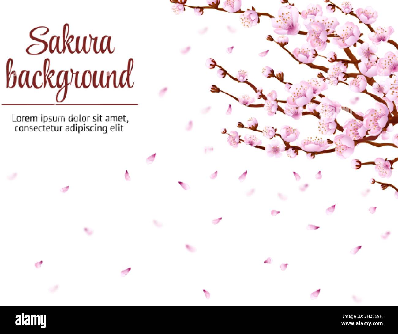 Sakura branch background. Cherry blossom, japan tree floral branches ...