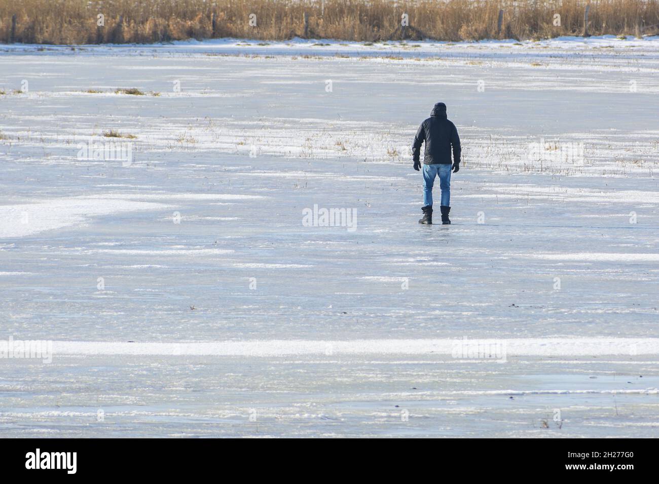 Man from behind standing on the ice of a frozen lake, happy winter ...