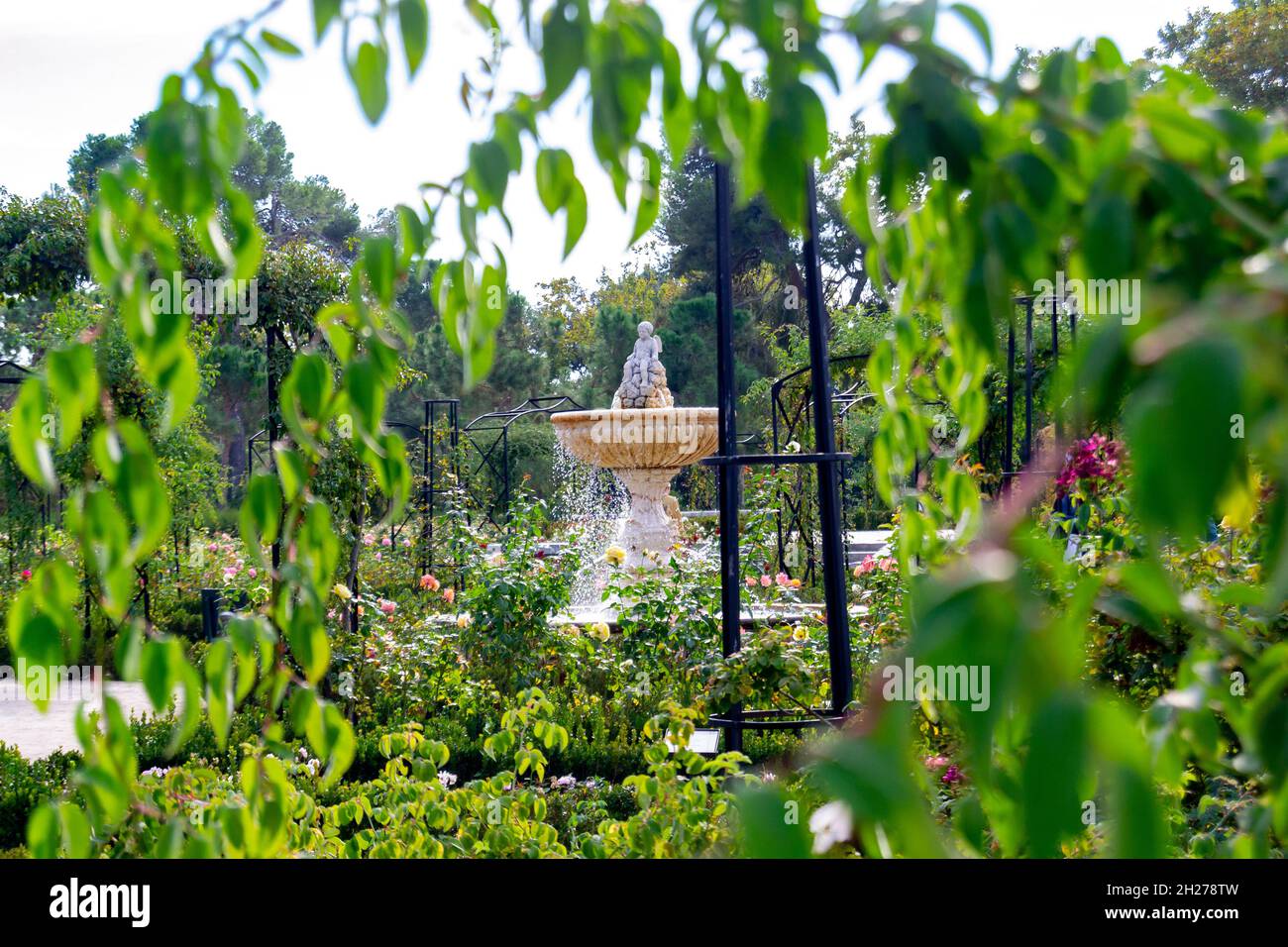 Autumn landscape with orange, brown and yellow colors in the branches ...