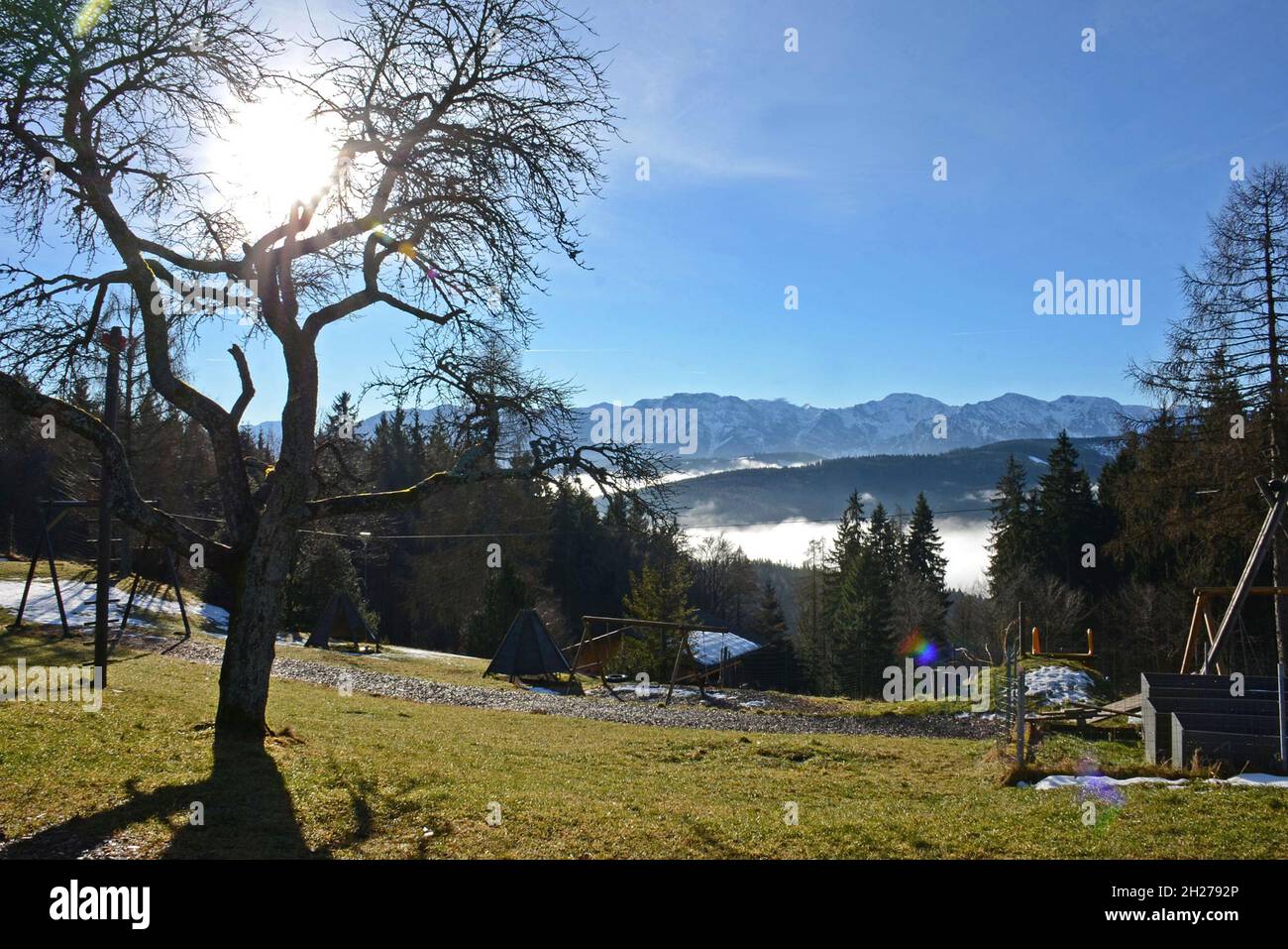 Der Berg Hongar im Herbst im Nebel, Vöcklabruck, Österreich, Europa ...