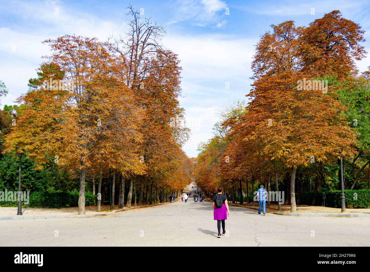 Autumn landscape with orange, brown and yellow colors in the branches ...