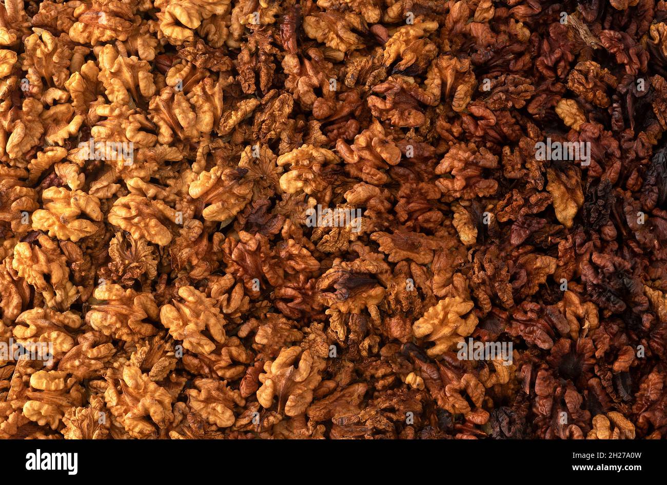 Walnuts background. walnut kernels located by light to dark gradient ...