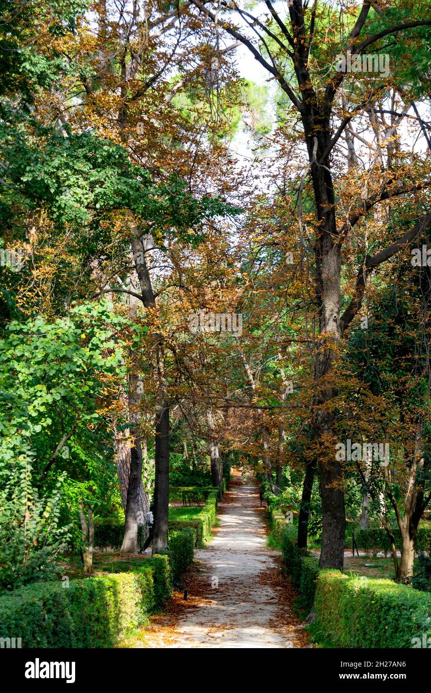 Autumn landscape with orange, brown and yellow colors in the branches ...