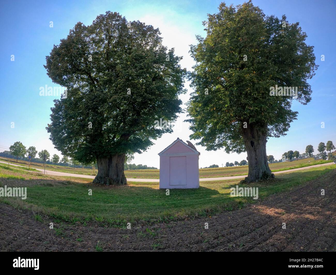 House between the trees hi-res stock photography and images - Alamy