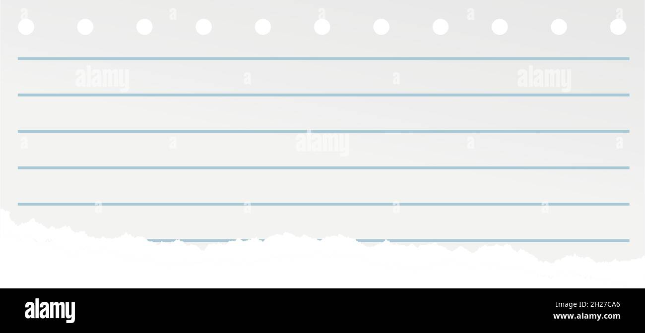 Lined paper ripped from notebook. Blank sheet Stock Vector Image & Art ...