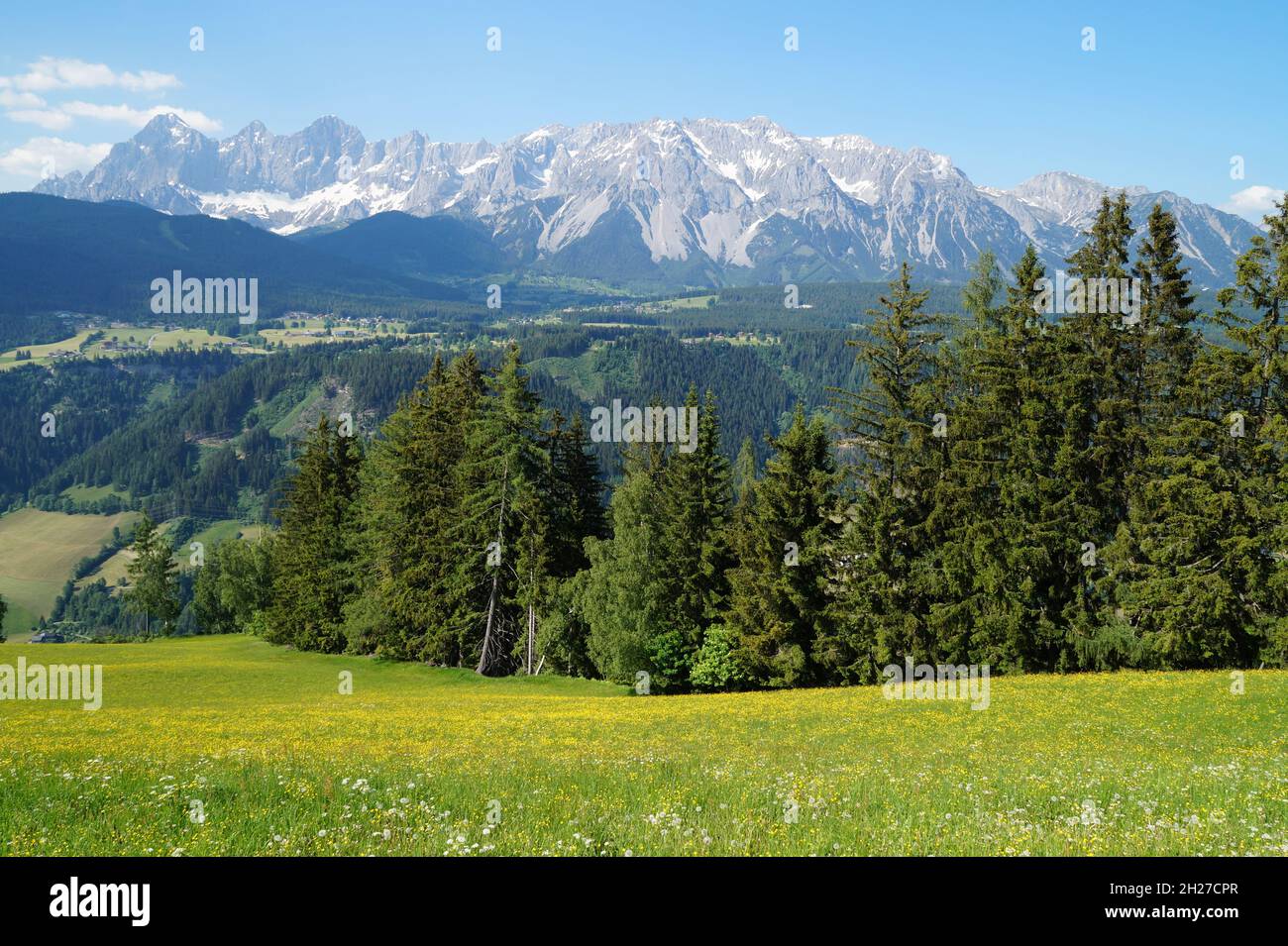 a picturesque alpine landscape of the alpine meadows in the Alps of the ...