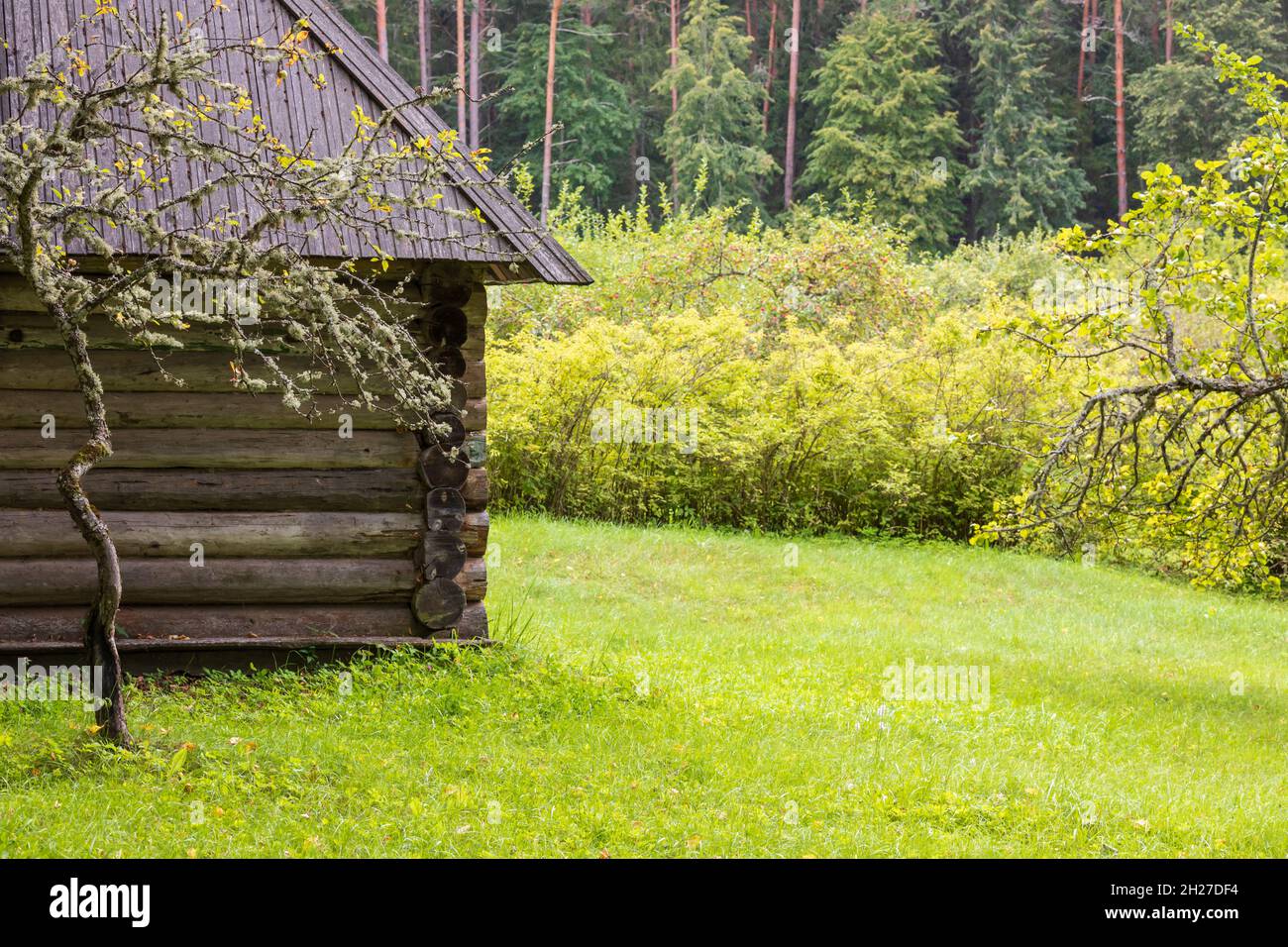 Russian village landscape with an old wooden house and green grass ...