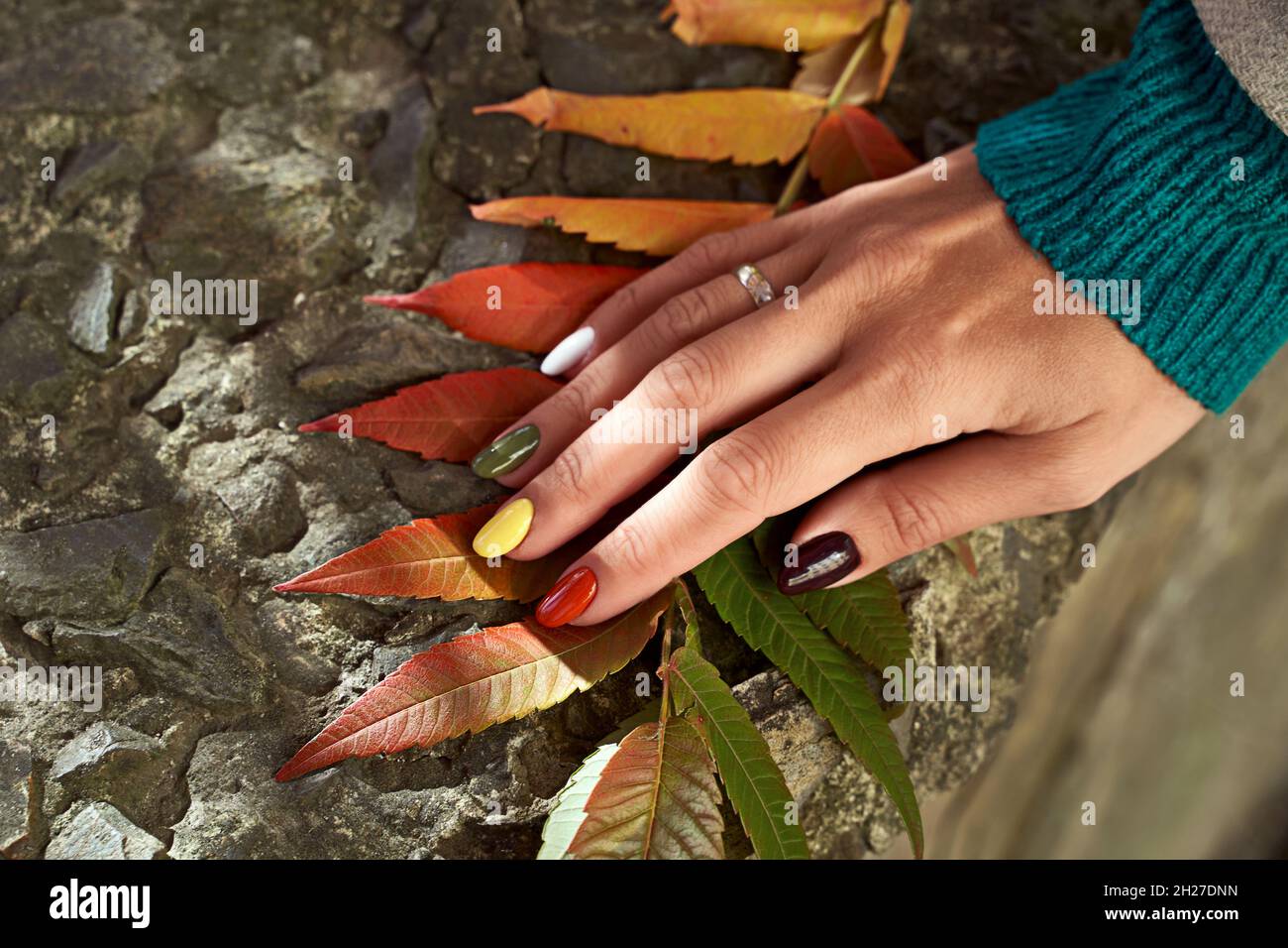 Hands of a beautiful woman on autumn leaves background. Delicate hands ...