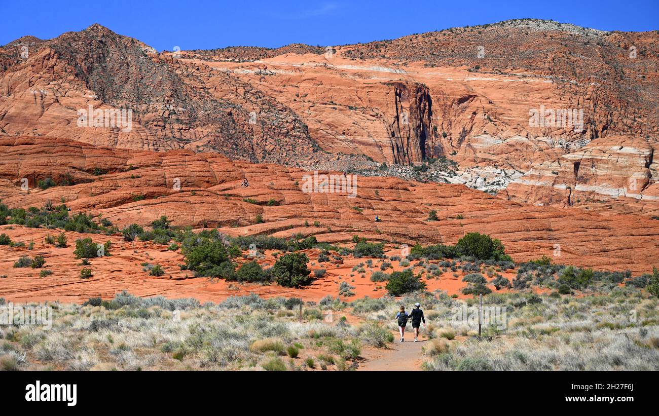 SNOW CANYON STATE PARK IN ST. GEORGE, UTAH Stock Photo - Alamy