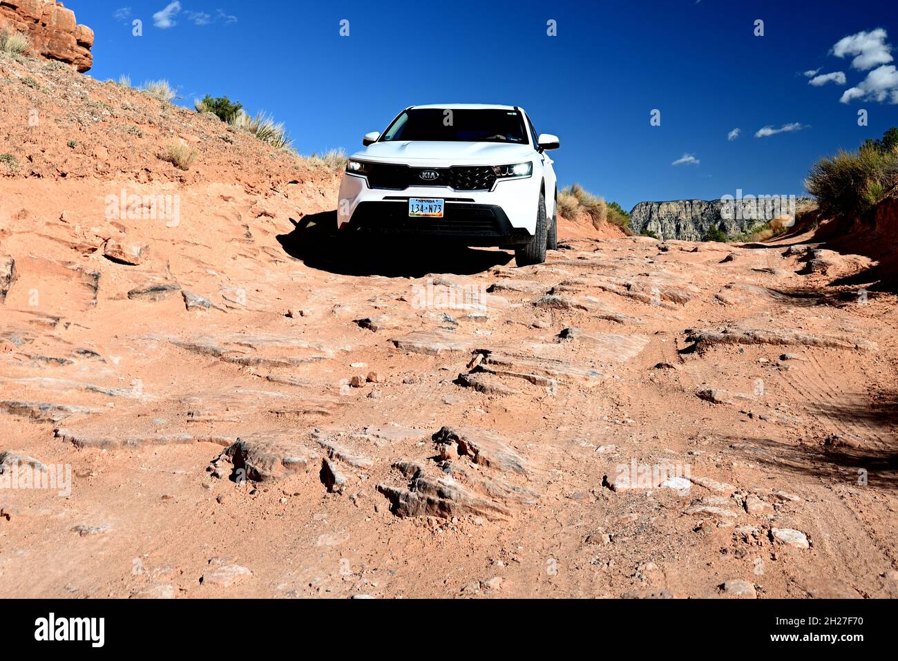 ON THE ROAD TO TOROWEAP OVERLOOK IN GRAND CANYON NATIONAL PARK...FOUR ...