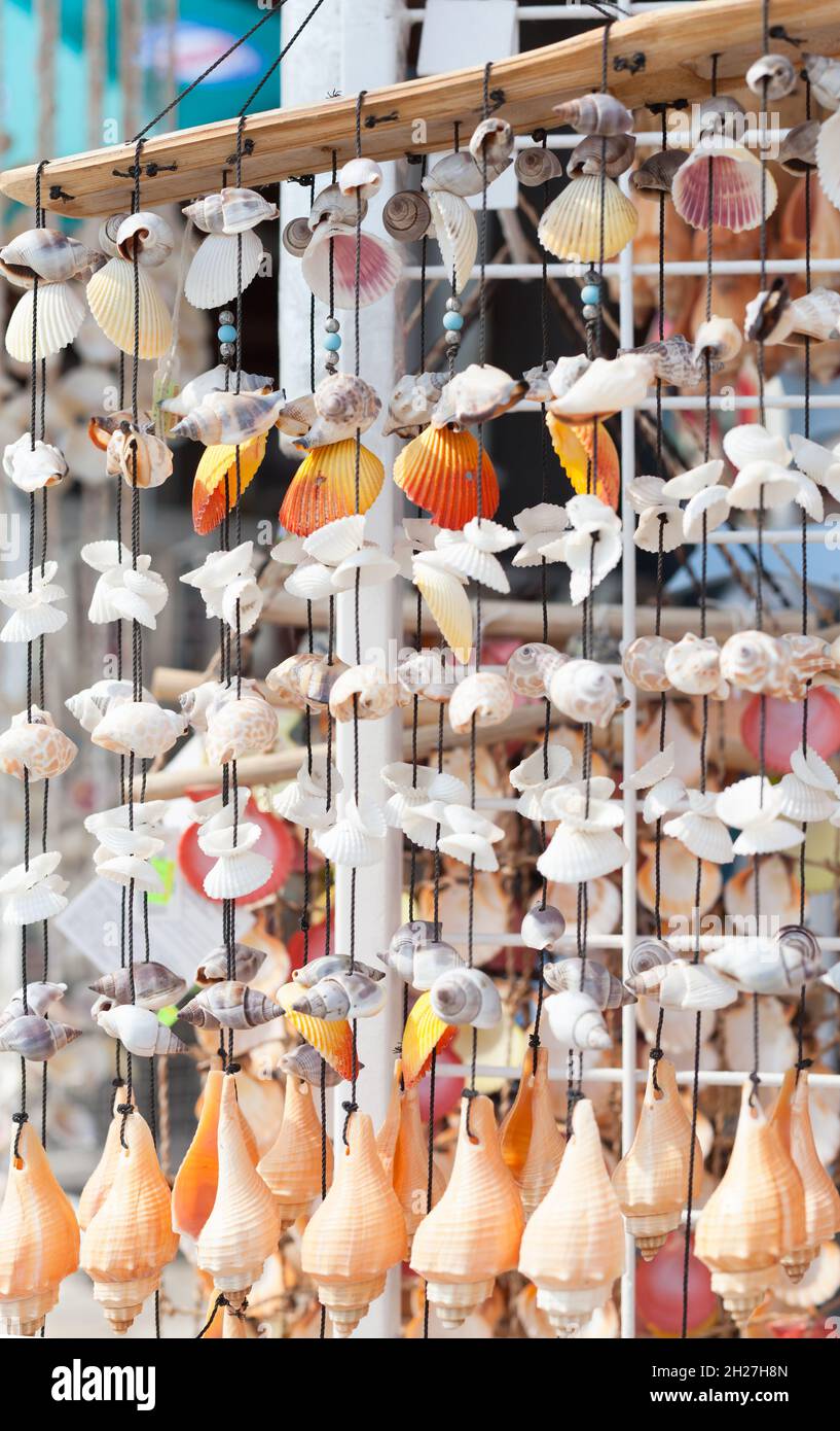 Colorful shells hi-res stock photography and images - Alamy