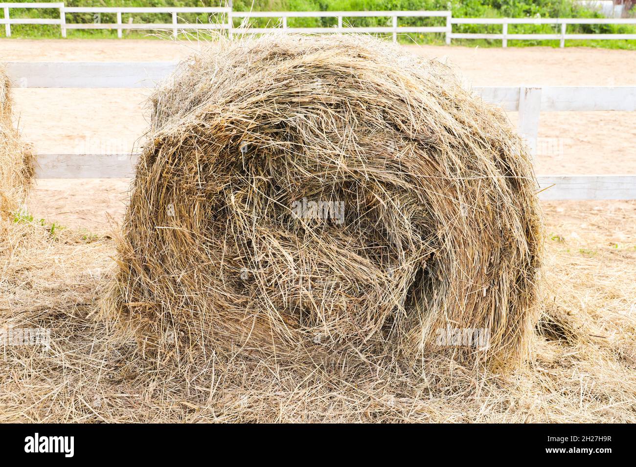 Sheaf of hay on a sunny day, close up outdoor photo Stock Photo - Alamy