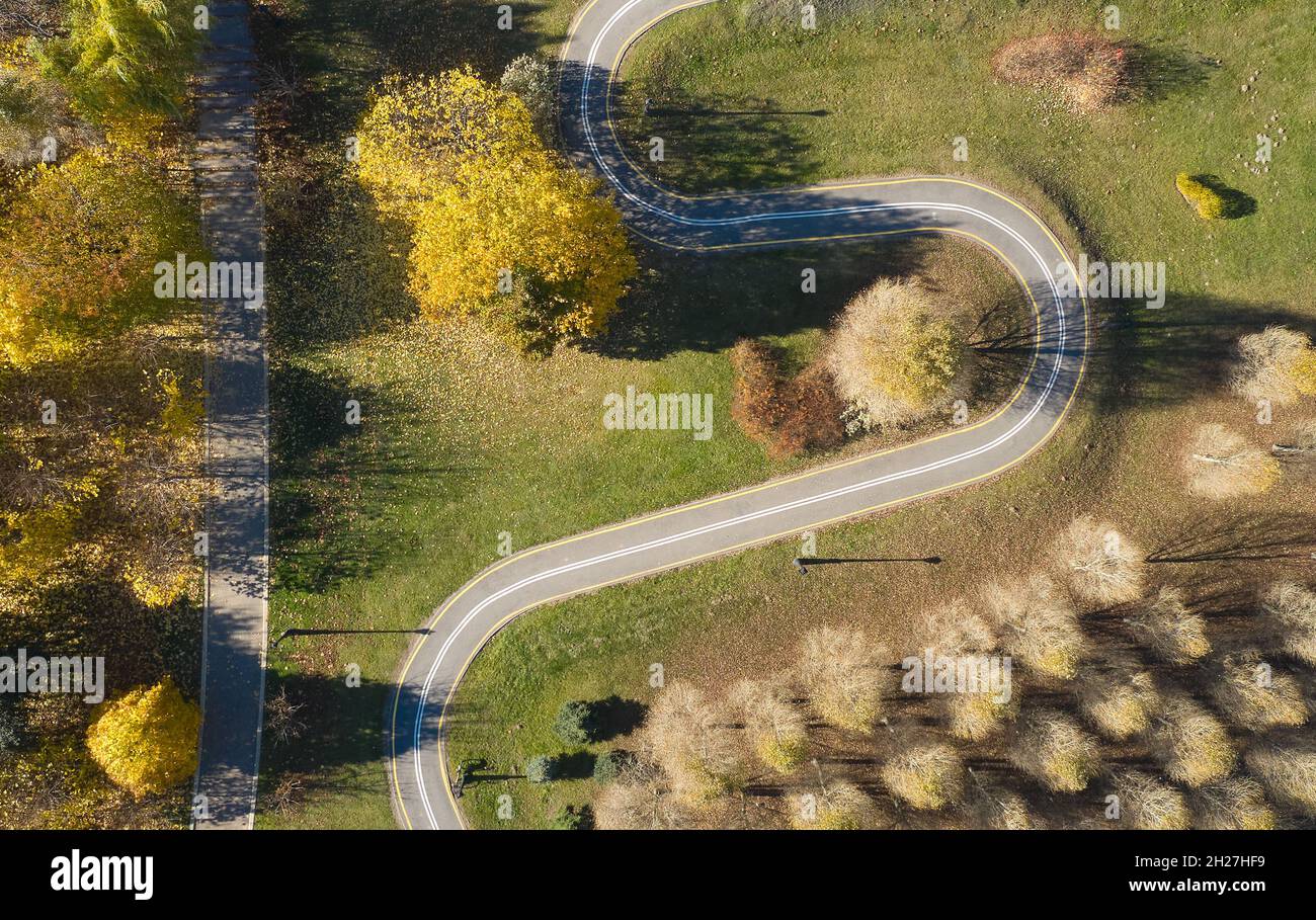 Bicycle path in the park. Ecosystem and healthy environment concepts ...
