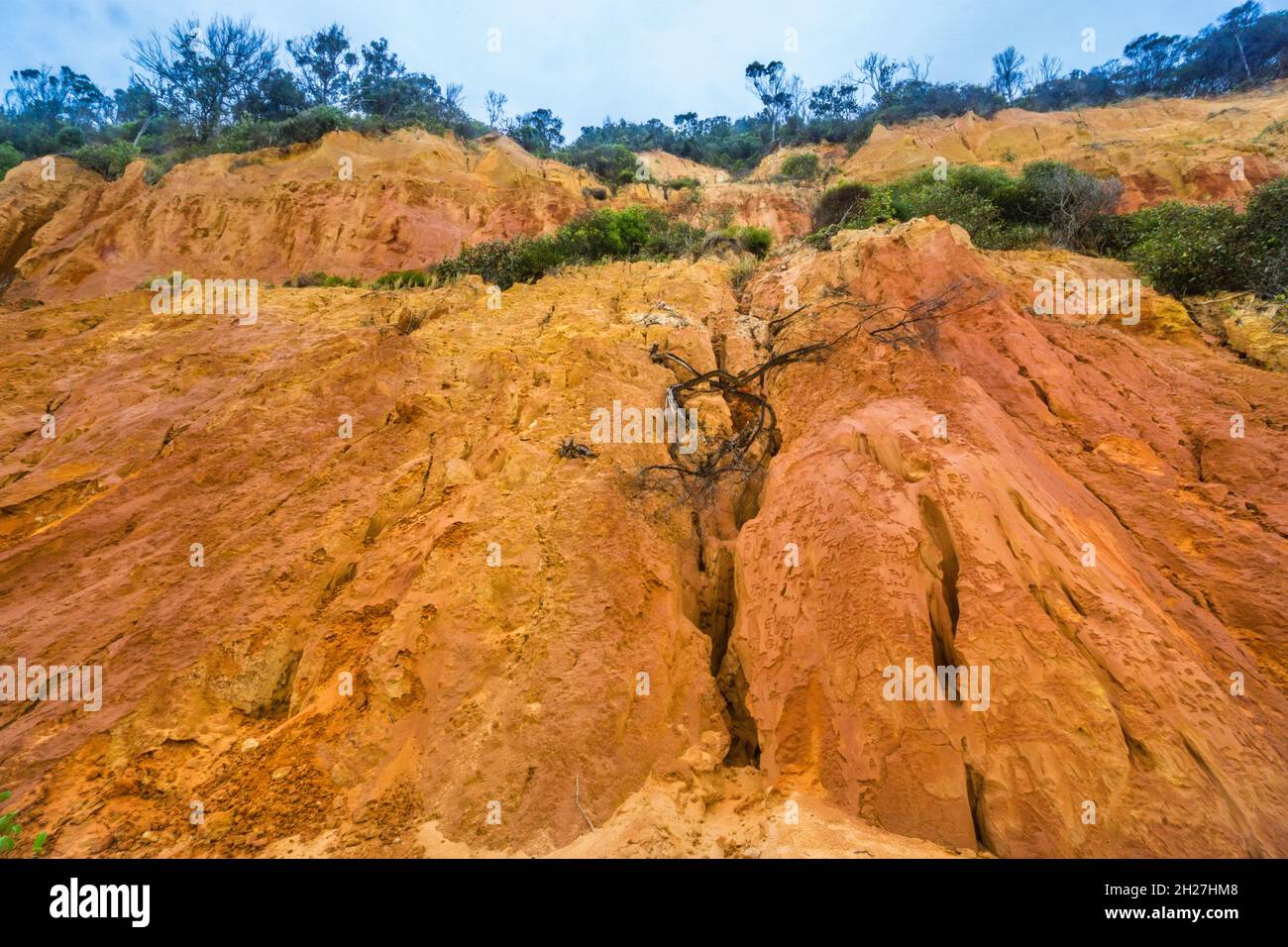 Australia beach cliffs hi-res stock photography and images - Alamy