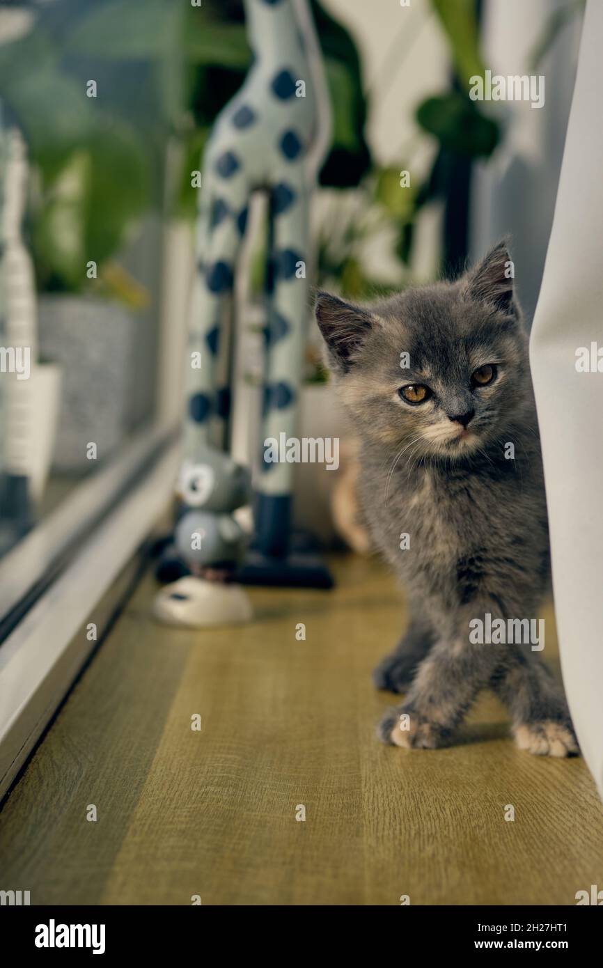 Funny sitting position hi-res stock photography and images - Alamy