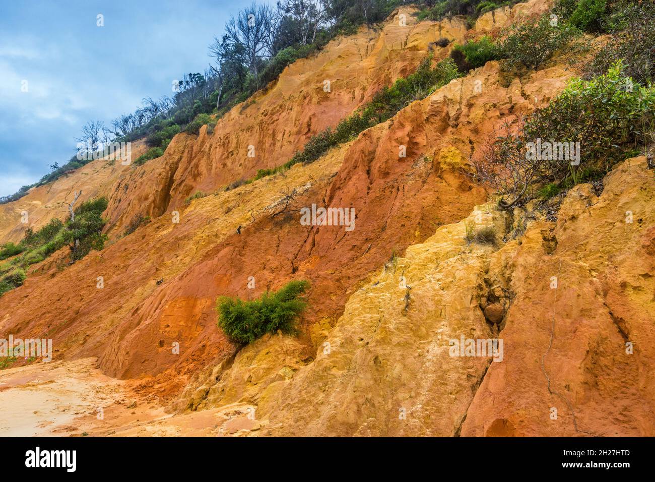 Australia beach cliffs hi-res stock photography and images - Alamy