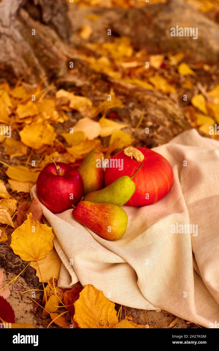 fruits and vegetables on fall picnic in forest. vertical shallow depth ...
