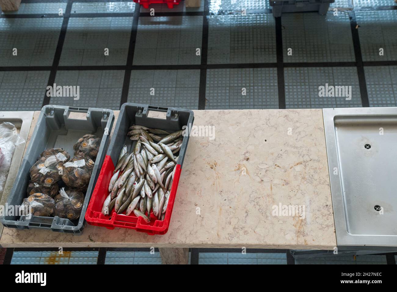 Mussels and bucket hi-res stock photography and images - Alamy