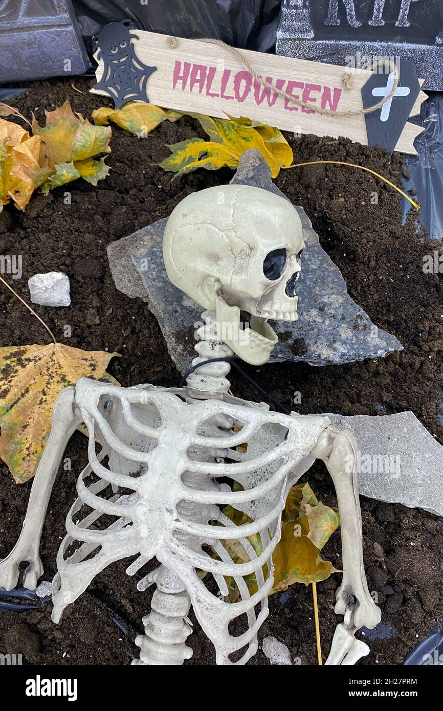 Zombie bones hi-res stock photography and images - Alamy