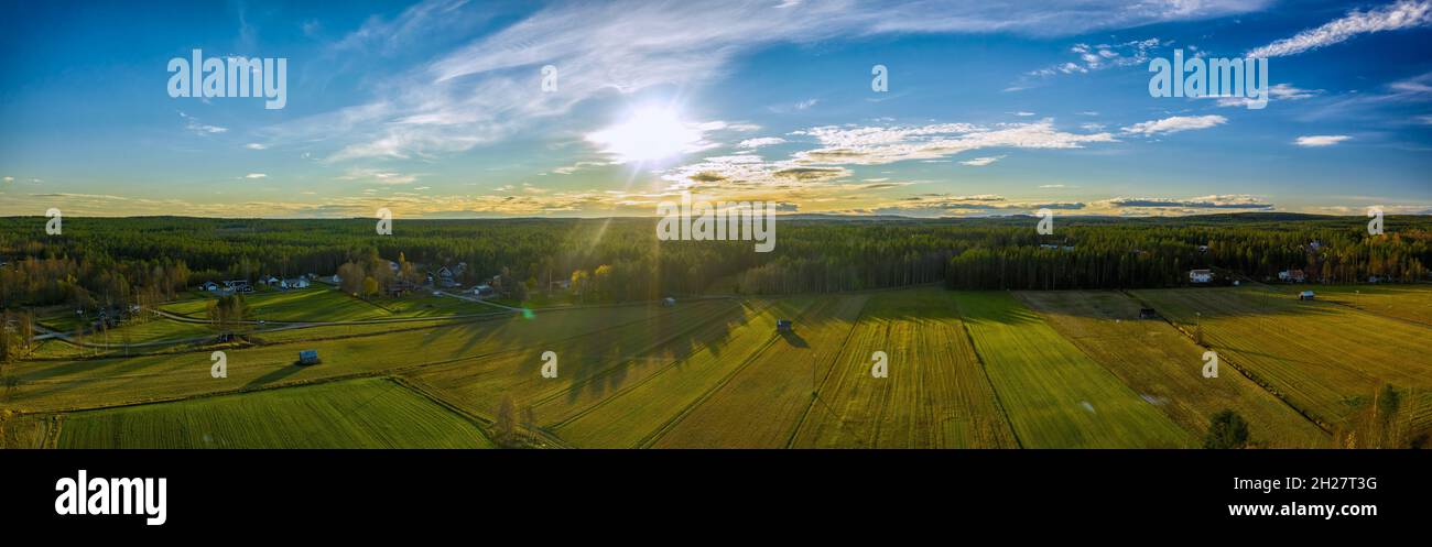 Sunlight beams above trees hi-res stock photography and images - Alamy