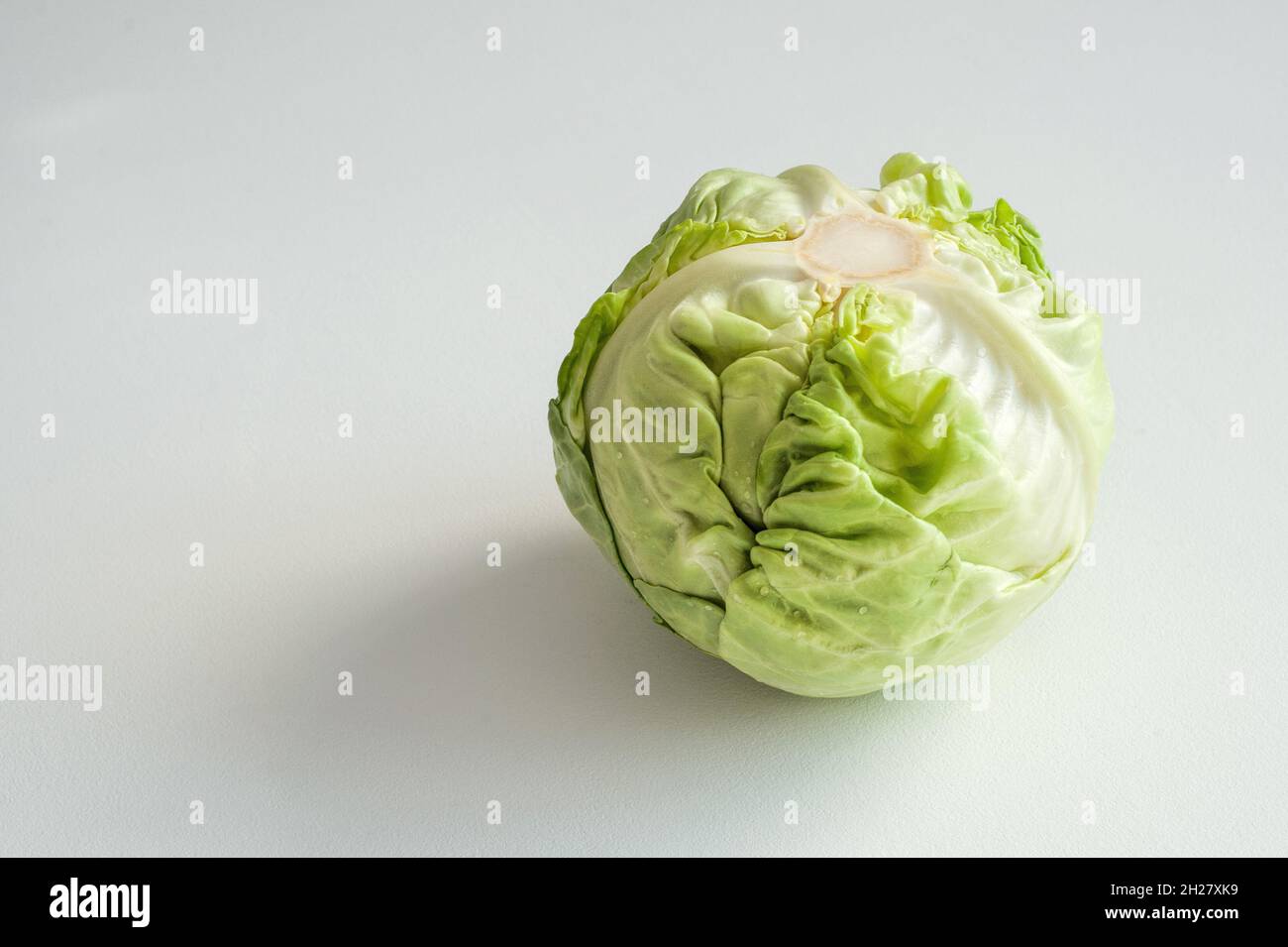 White cabbage isolated on white background one whole head with copy ...