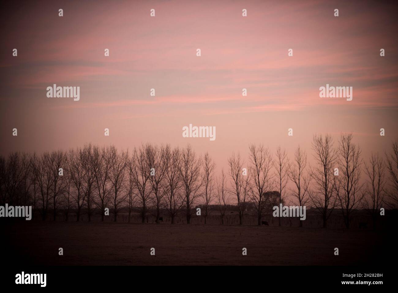 Argentina climate hi-res stock photography and images - Alamy