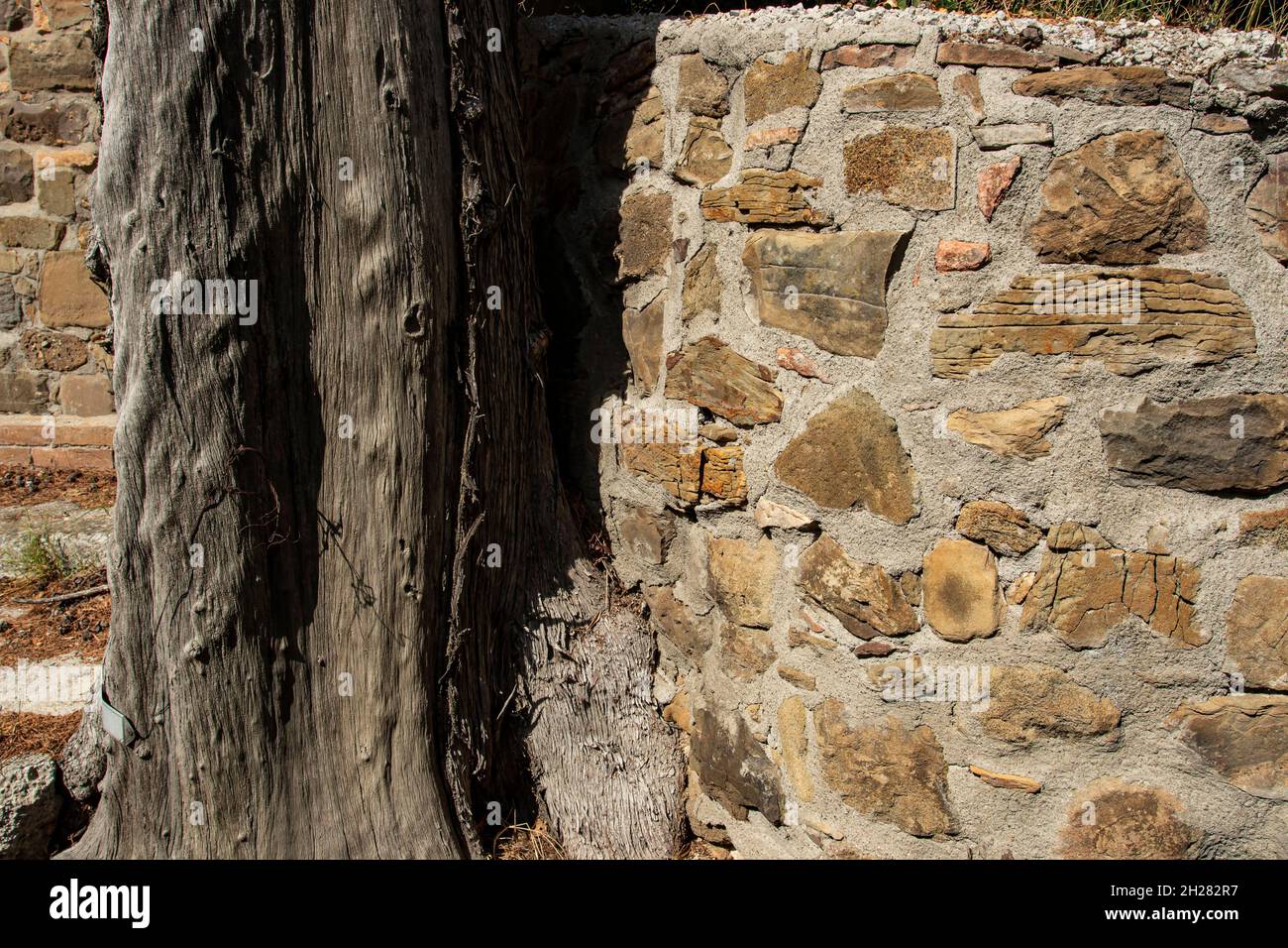 The texture of a stone wall with the tree wood Stock Photo - Alamy