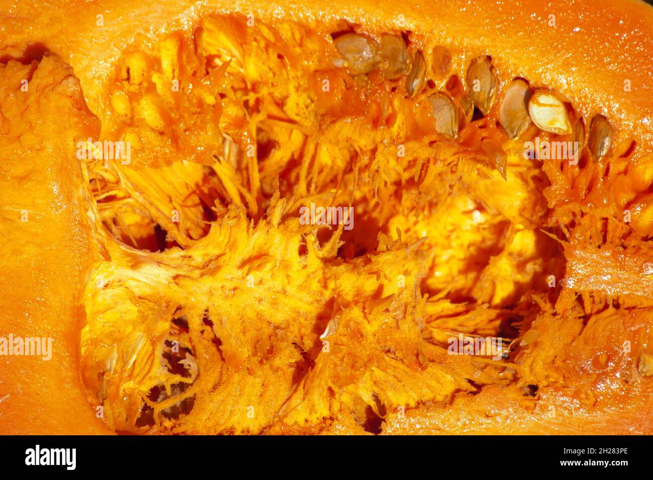 Cutaway pumpkin. Close-up of a cut orange pumpkin Stock Photo - Alamy