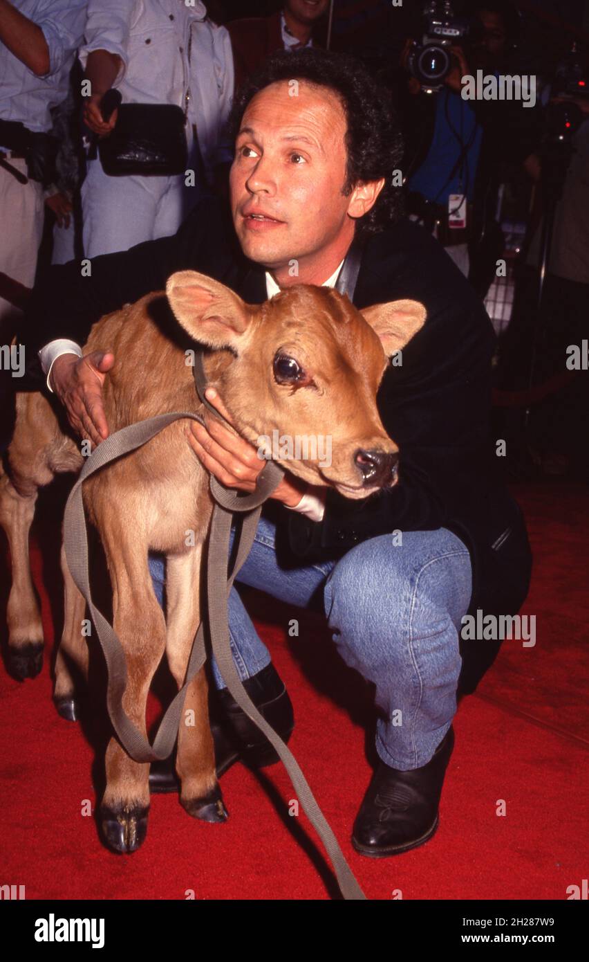 Billy Crystal Circa 1980's Credit: Ralph Dominguez/MediaPunch Stock ...