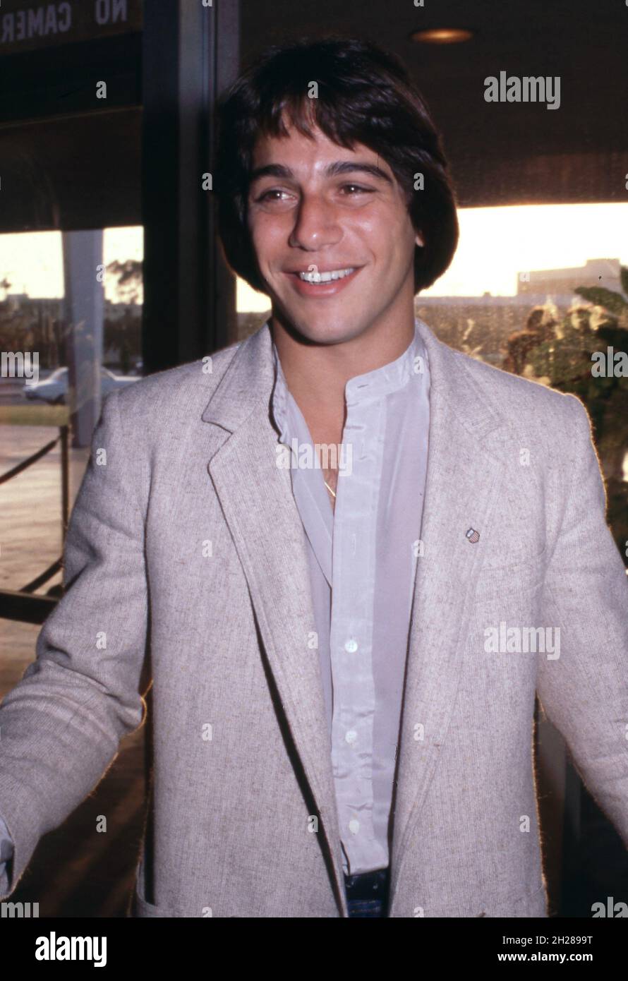 Tony Danza Circa 1979 Credit: Ralph Dominguez/MediaPunch Stock Photo ...