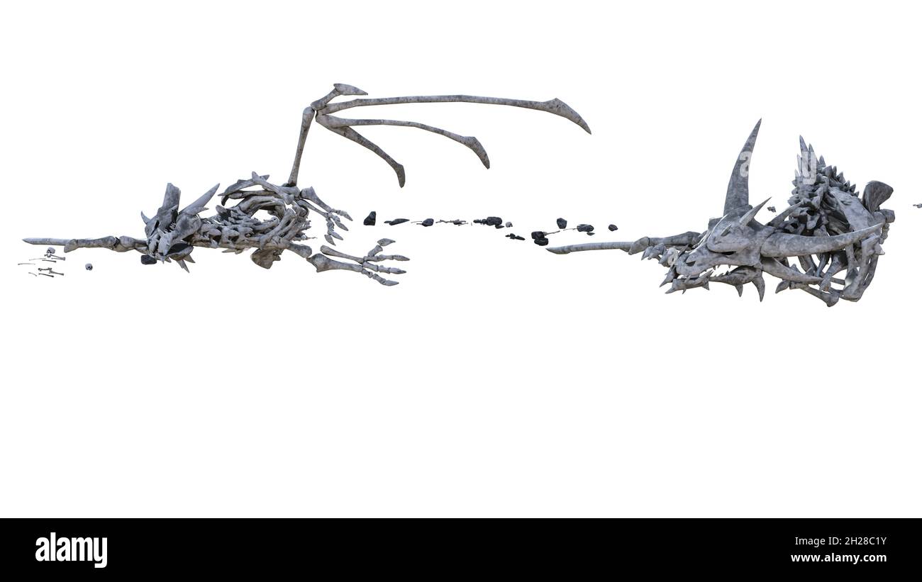 Dragon Bones on Isolated White Background, 3D illustration, 3D ...