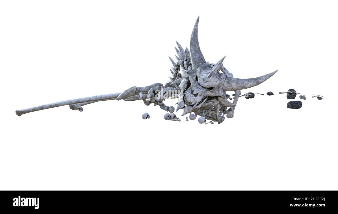 Dragon Bones on Isolated White Background, 3D illustration, 3D ...