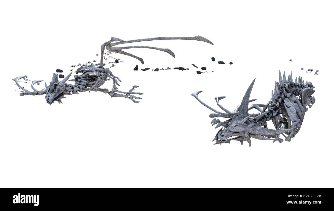 Dragon Bones on Isolated White Background, 3D illustration, 3D ...