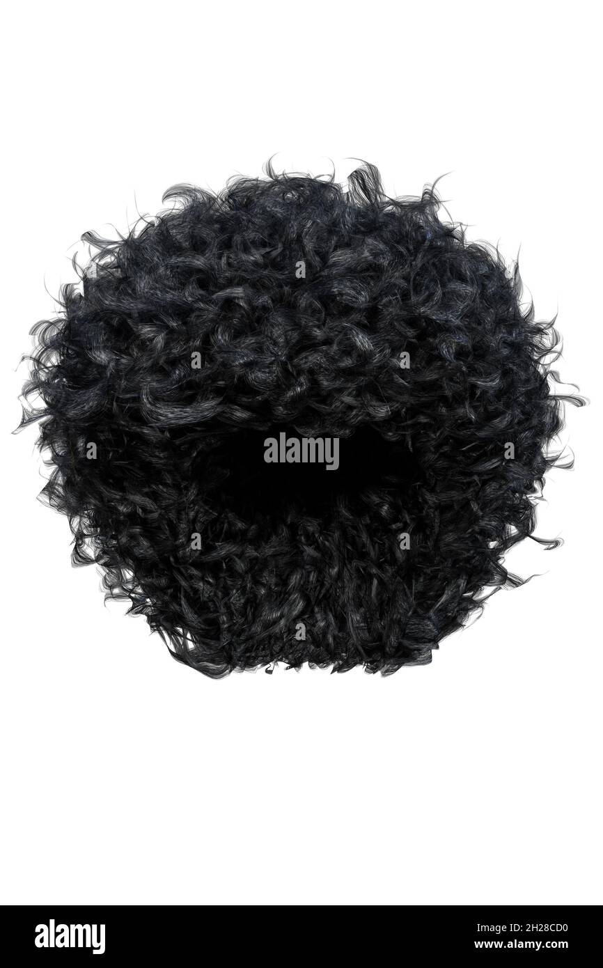 Afro Female Hair on Isolated Background, 3D Rendering, 3D Illustration ...
