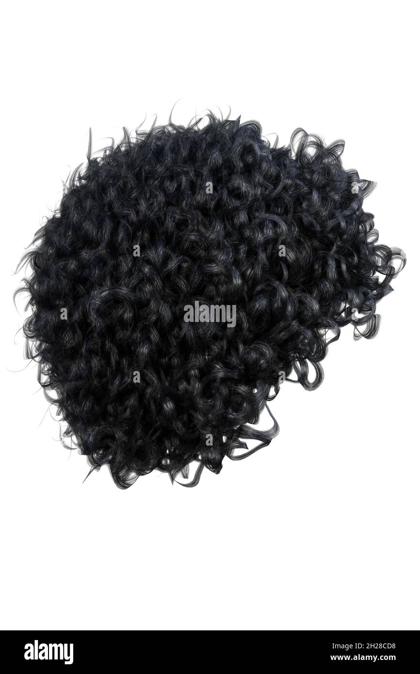 Afro Female Hair on Isolated Background, 3D Rendering, 3D Illustration ...