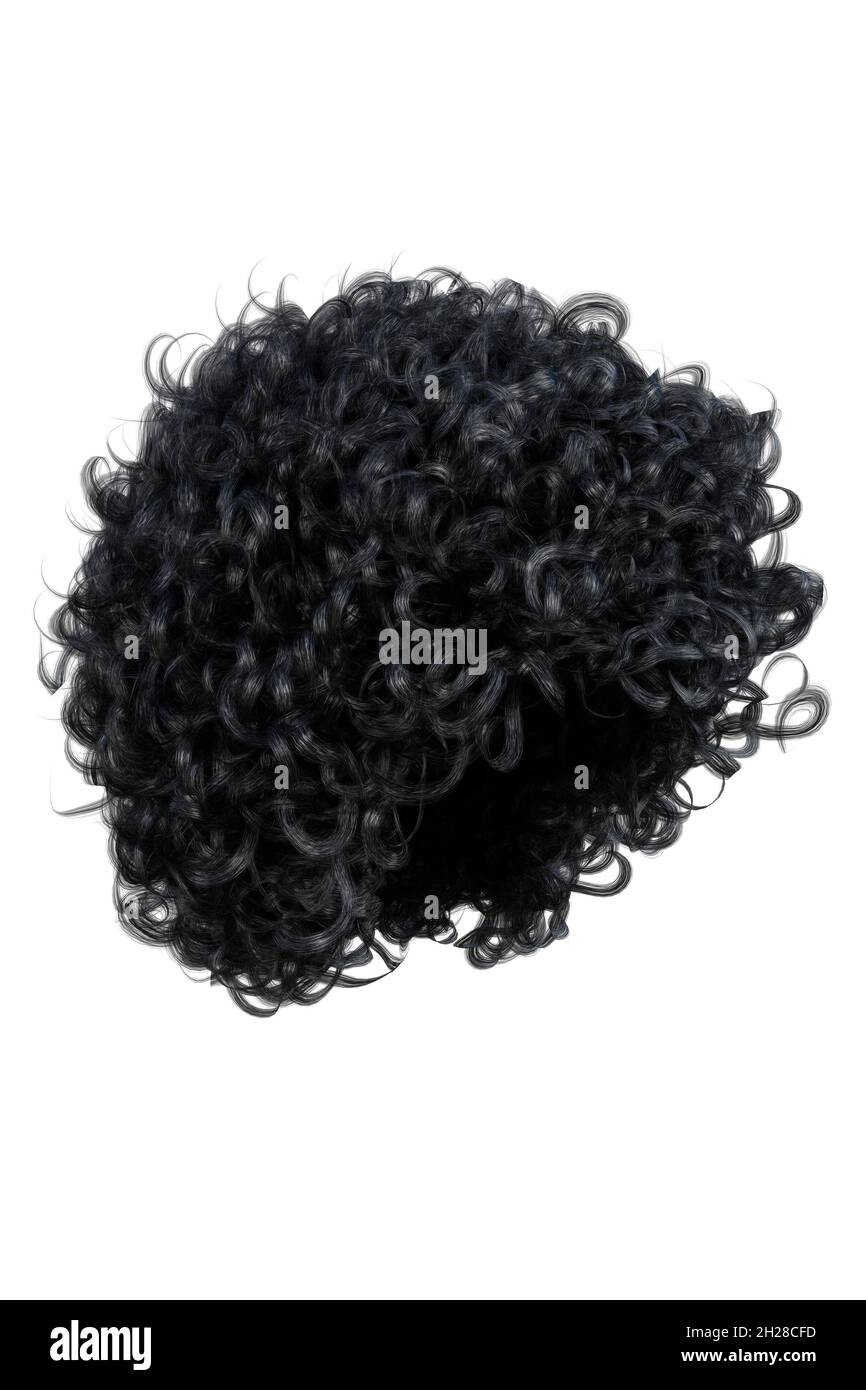 Afro Female Hair on Isolated Background, 3D Rendering, 3D Illustration ...