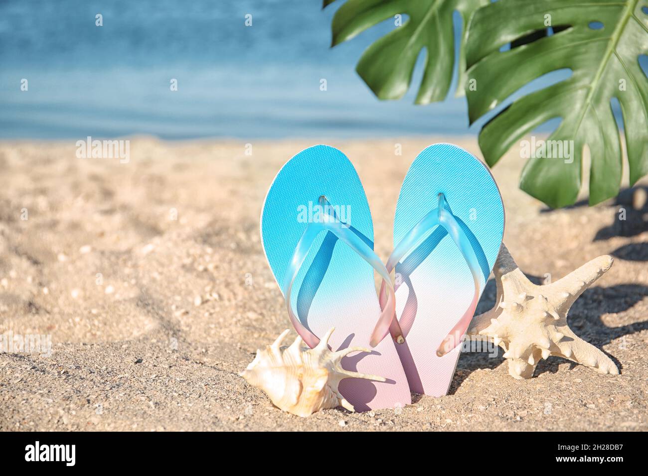 Flip-flops, seashell and starfish in sand on beach. Space for text ...