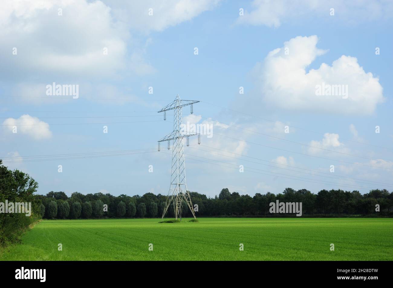 Pylon in the middle of scenic field surrounded by trees Stock Photo - Alamy