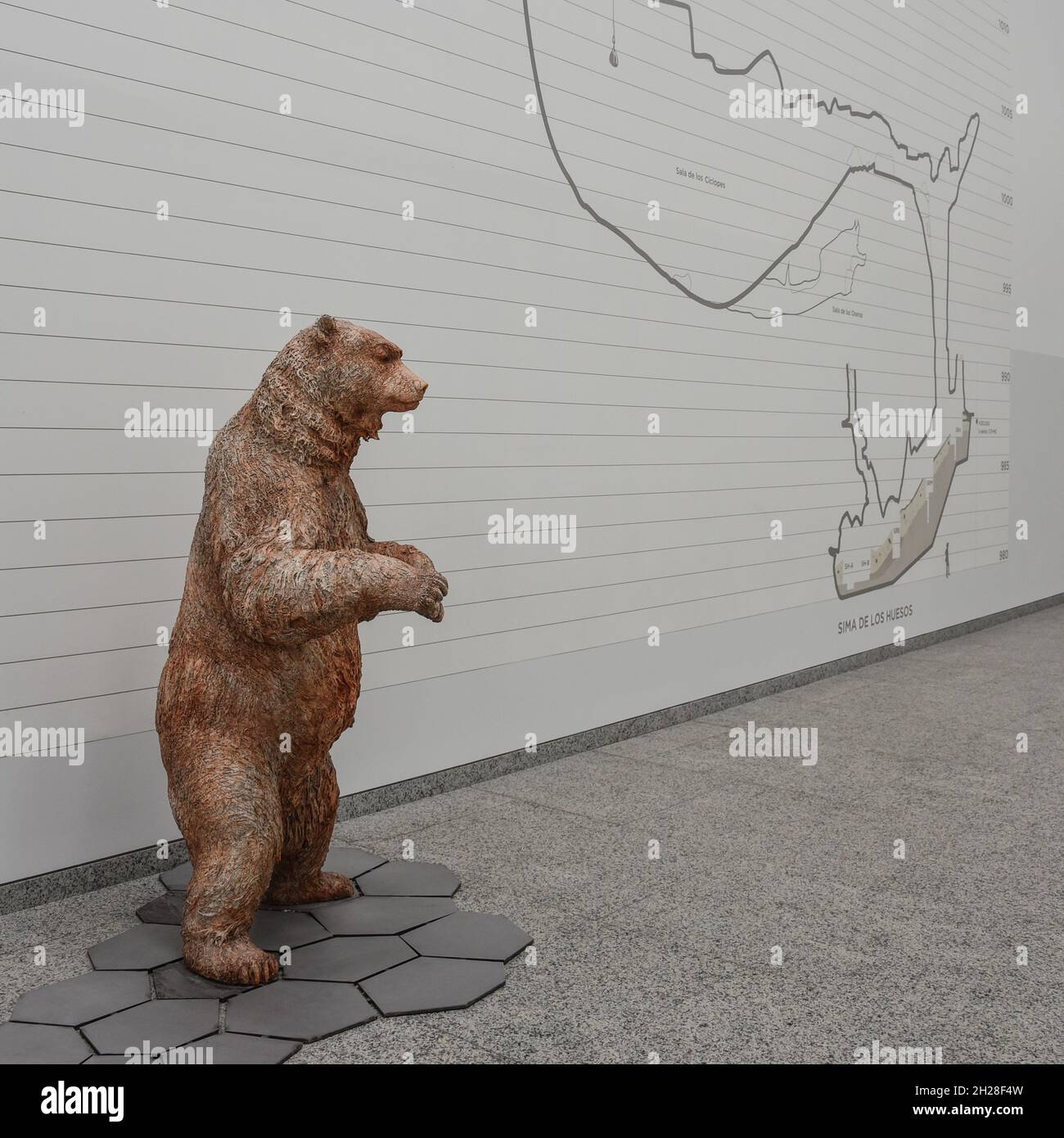 Burgos, Spain - 16 Oct 2021: A model of a bear in the Museum of Human ...