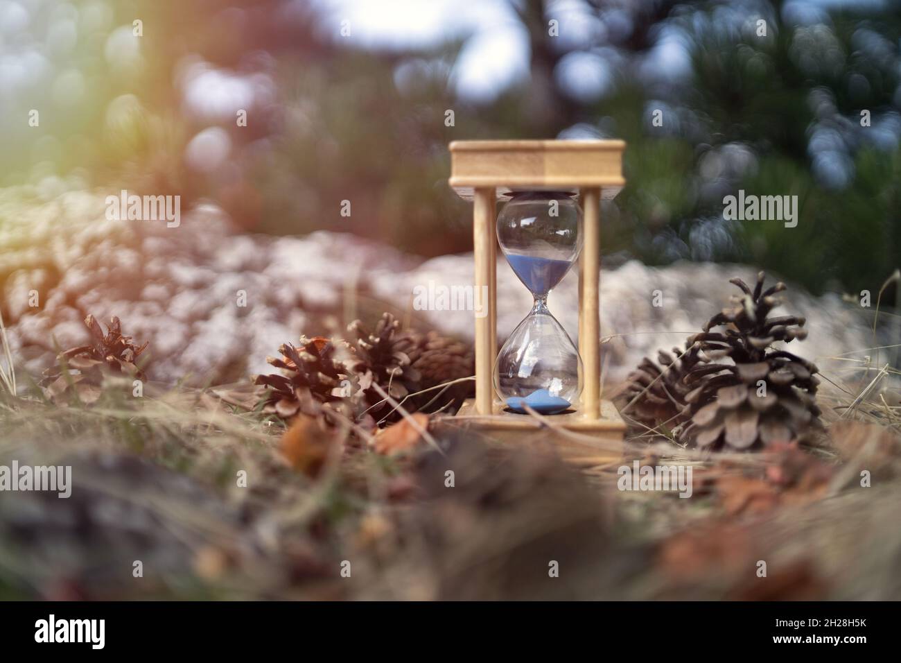 Close-up shot of a wooden hourglass on the ground surrounded by cones ...