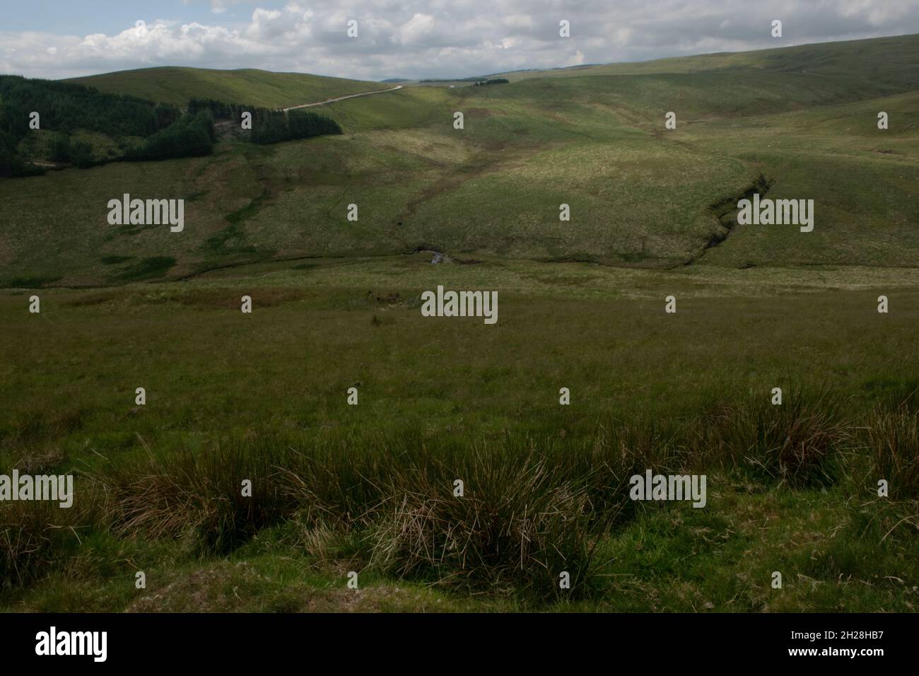 Wye valley wales plynlimon hi-res stock photography and images - Alamy