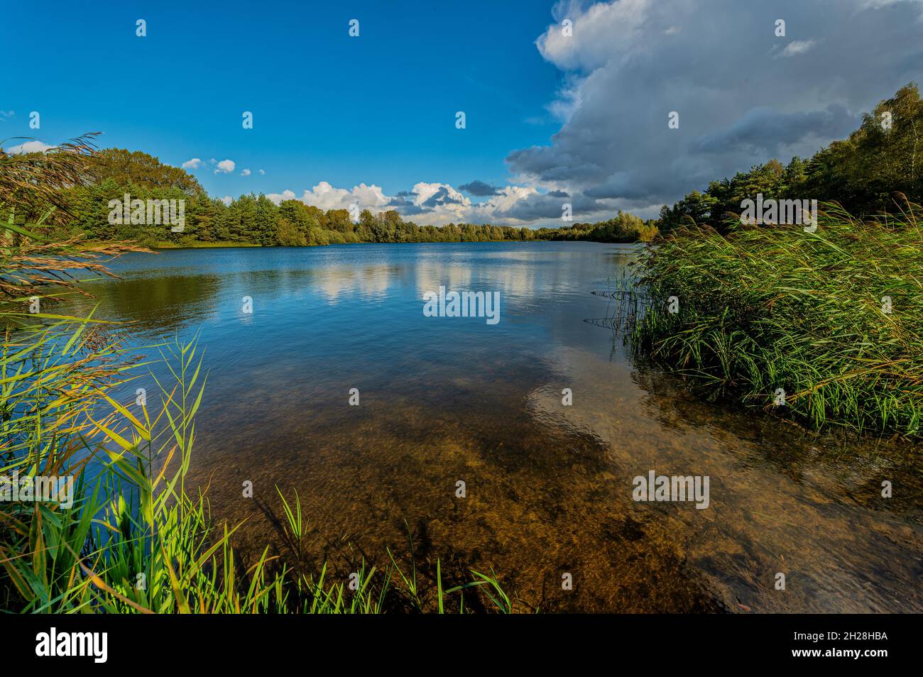 Lynford water hi-res stock photography and images - Alamy