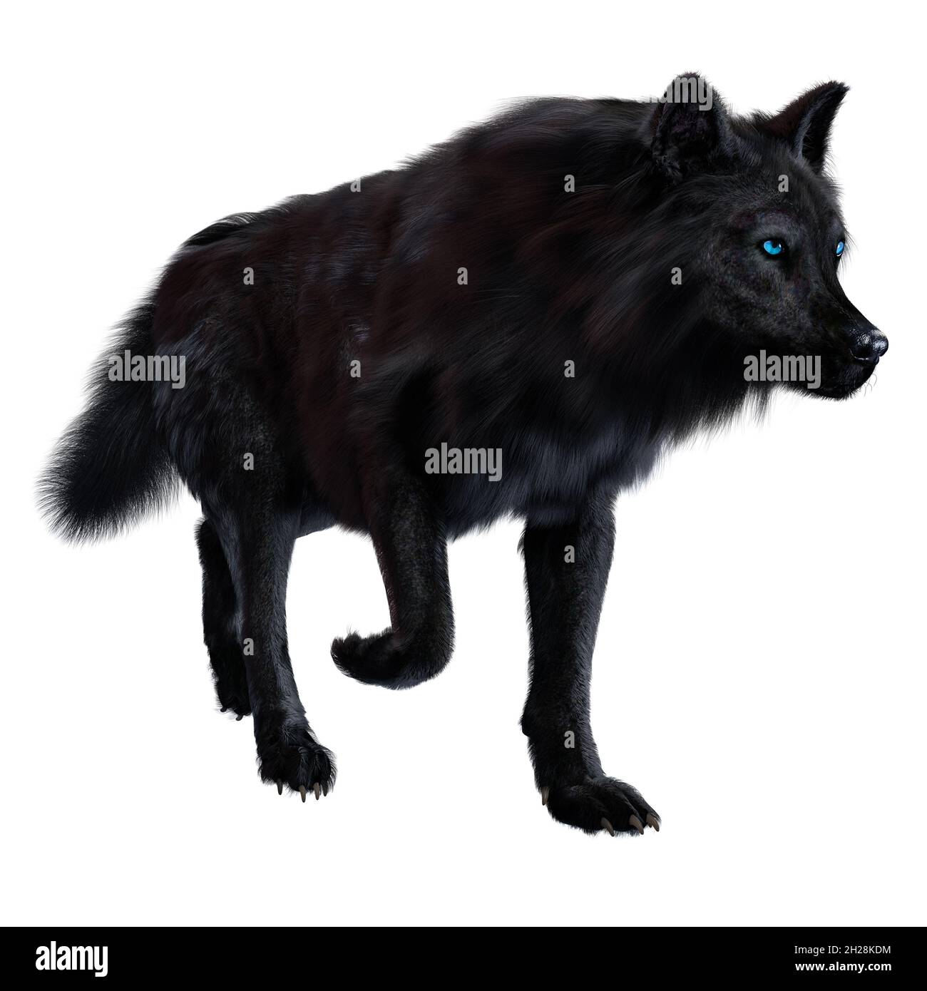 Dire wolf on isolated background, 3D illustration, 3D rendering Stock ...