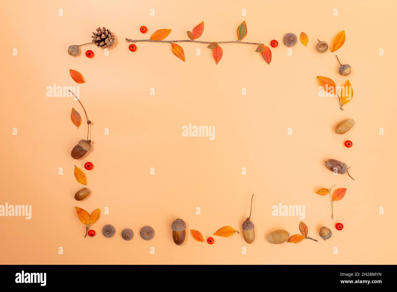 autumn frame composition on orange background, easy nature craft for ...