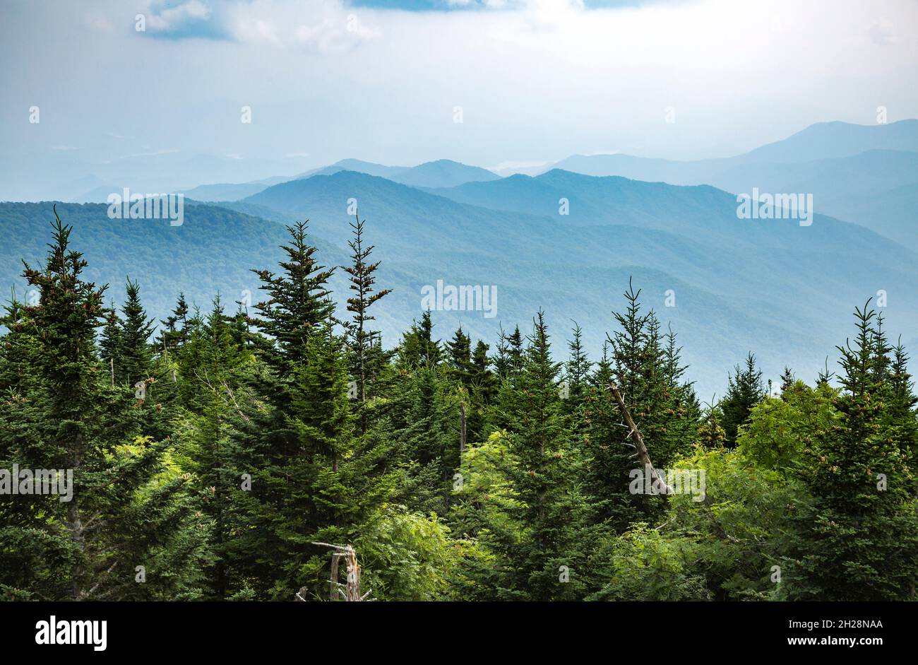 Hazy Blue Ridge Mountains in the distance behind evergreen trees near ...